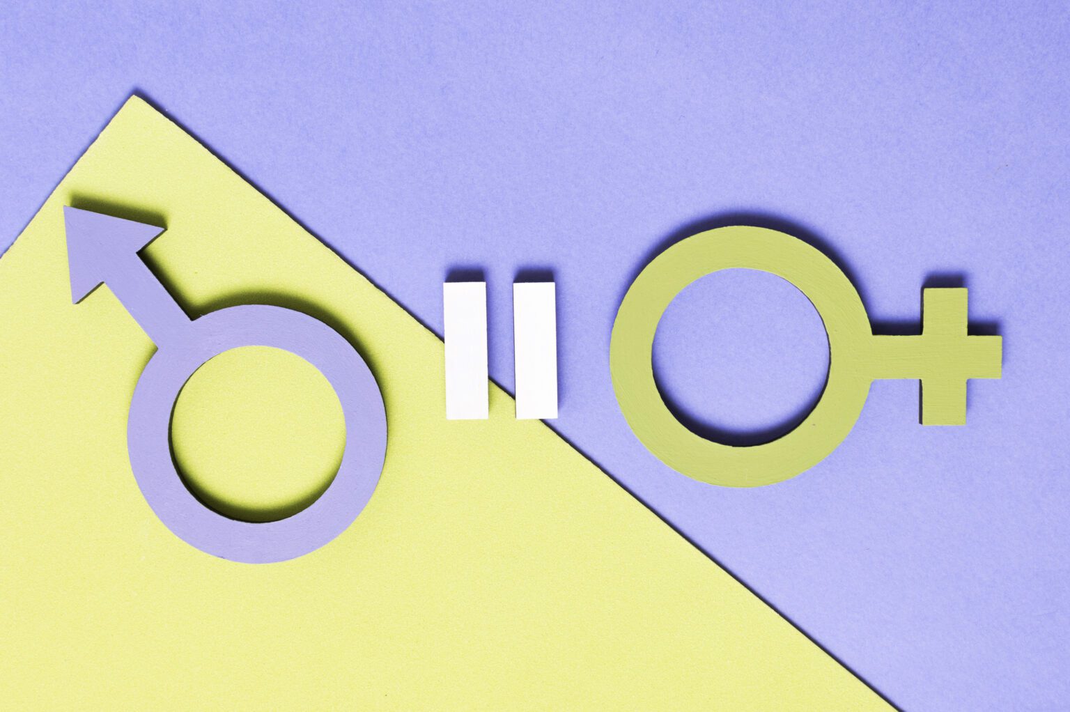 Gender Differences in Advertising: The 2026 Strategy Guide